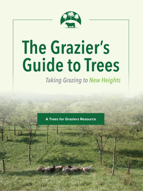 Products - Trees For Graziers